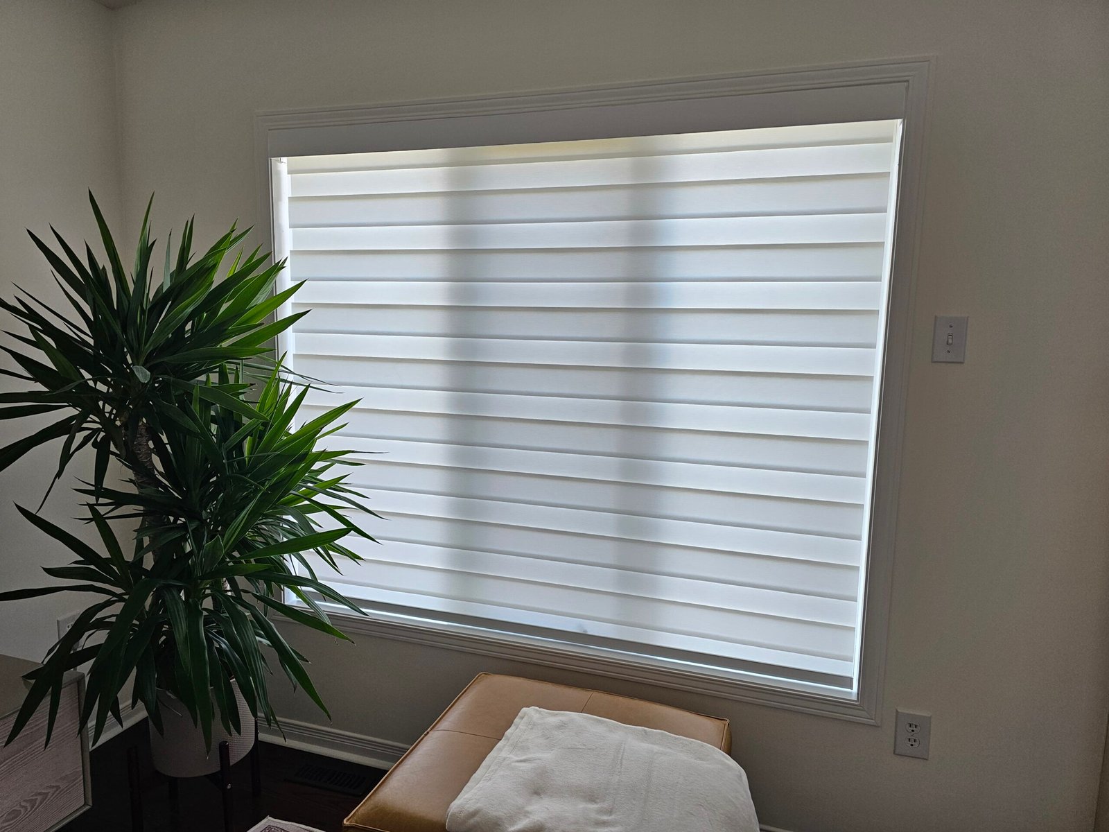 A Guide to Maintaining and Cleaning Your Zebra Blinds